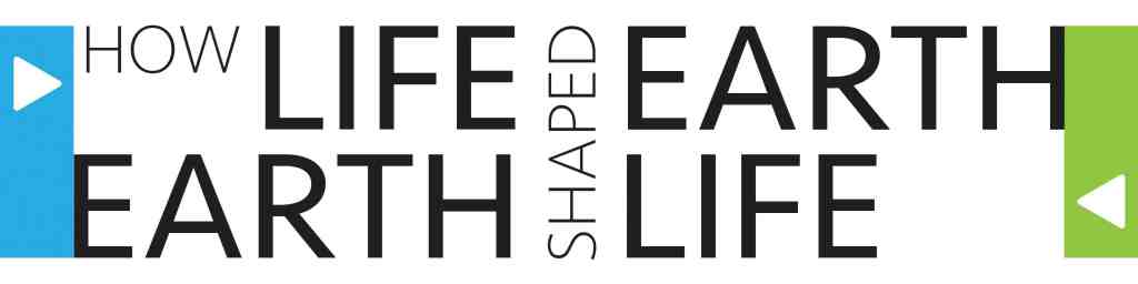 Hannah Bonner – Author-Illustrator